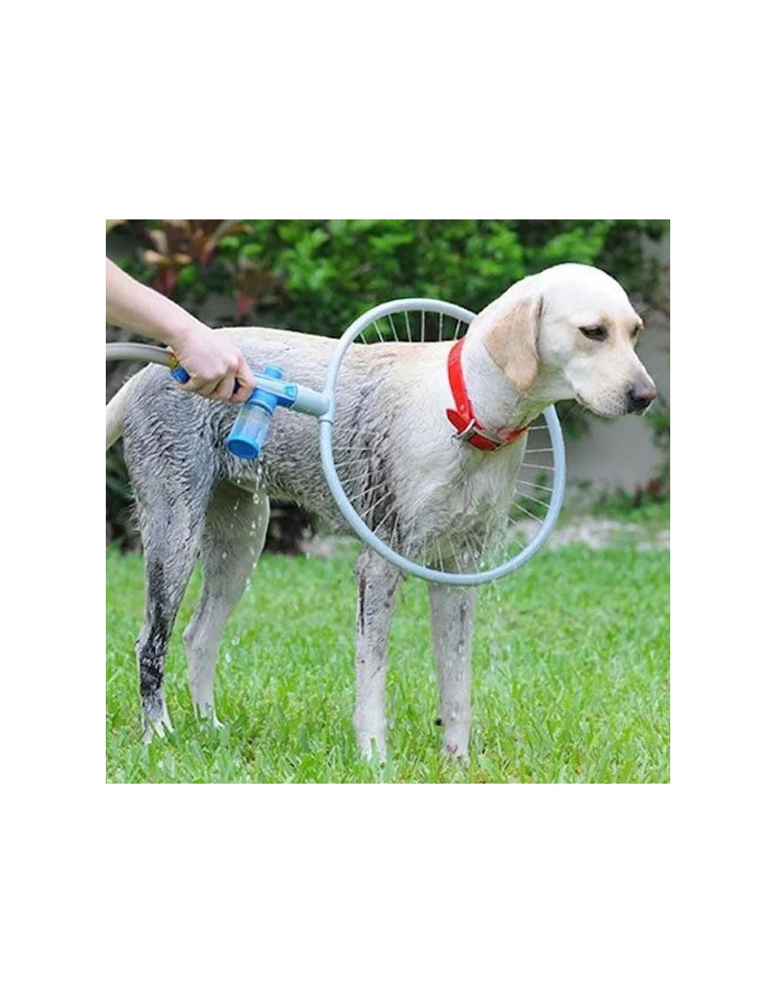 ΣΥΣΤΗΜΑ ΓΙΑ ΤΟ ΜΠΑΝΙΟ ΤΟΥ ΣΚΥΛΟΥ/PET BATH RING